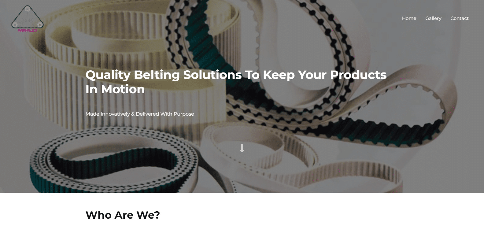 Case Study | Winflex | Standard Website – TumkurLab - TumkurLab